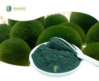 China Pure Chlorella Powder with 54.30% Protein Content and 1.90% Chlorophyll for Nutritional Supplements for sale