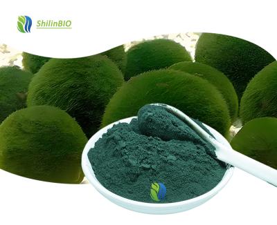 China Pure Chlorella Powder with 54.30% Protein Content and 1.90% Chlorophyll for Nutritional Supplements for sale