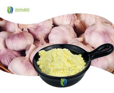 China Garlic Extract Allicin Powder 5.20% Content with 80 Mesh Particle Size for Animal Feed and Healthcare for sale