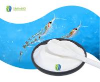 China Antarctic Krill Peptide Powder ≥90% Purity with 80 Mesh Size for Nutritional Supplements for sale