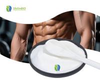 China Leucine Bulk Powder for sale