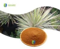 China Yucca Root Extract Yucca Saponin Powder 61.3% Sarsaponin for Animal Feed and Health Supplements for sale