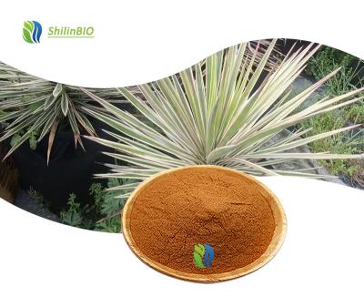 China Yucca Root Extract Yucca Saponin Powder 61.3% Sarsaponin for Animal Feed and Health Supplements for sale