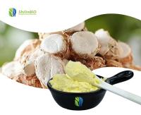 China Kaempferia Extract Kaempferol 98% Powder Natural Galanga Root Extract for Food Pharma Cosmetics for sale