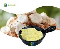 China Kaempferia Extract Kaempferol 98% Powder Natural Galanga Root Extract for Food Pharma Cosmetics for sale
