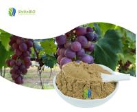 China 95% OPC Grape Seed Extract Powder with Anthocyanin - 1kg & 25kg Packaging Options for Skin Care & Supplements for sale