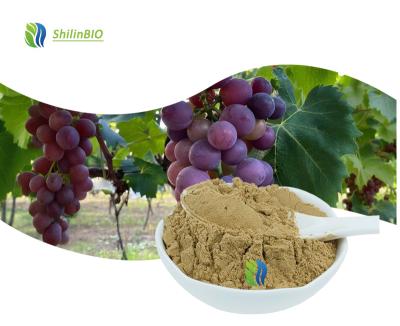 China 95% OPC Grape Seed Extract Powder with Anthocyanin - 1kg & 25kg Packaging Options for Skin Care & Supplements for sale