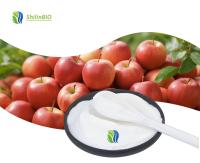 China 5% 10% Apple Extract  Apple Cider Vinegar Powder for sale
