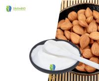 China Natural Almond Extract Protein Powder 60% Protein Spray Dried Fine Powder for sale