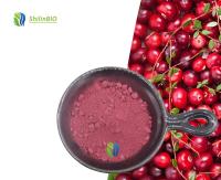 China Food Grade Cranberry Extract Powder - 100% Pass 80 Mesh, Bulk Density 50g/100ml for Supplements & Functional Foods for sale