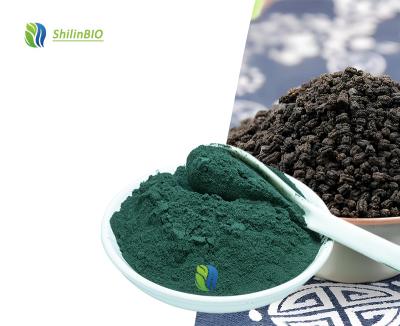 China Sodium Copper Chlorophyllin Powder 5% Natural Green Food Colorant E141 for Food Cosmetics for sale