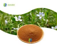 China Bacopa Monnieri Extract 50% Bacopasides Powder for Cognitive Health Supplements for sale