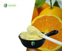 China Food Grade 98% Hesperidin Powder Citrus Reticulata Peel Extract Bulk 80 Mesh for sale