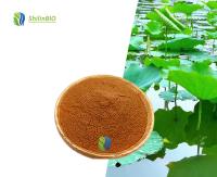 China Nuciferine 10% Lotus Leaf Extract Powder CAS 475-83-2 Folium Nelumbinis 80 Mesh for sale