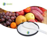 China Food Grade Vitamin B1 Thiamine HCl Powder 99% Purity 80 Mesh for Food Fortification for sale