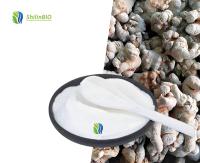China Pure Notoginseng Plant Extract Notoginsenoside Extract Powder Form for sale