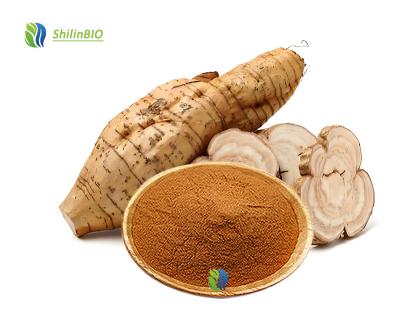 China Pueraria Mirifica Extract 98% Puerarin Kudzu Root Extract Powder 80 Mesh for sale