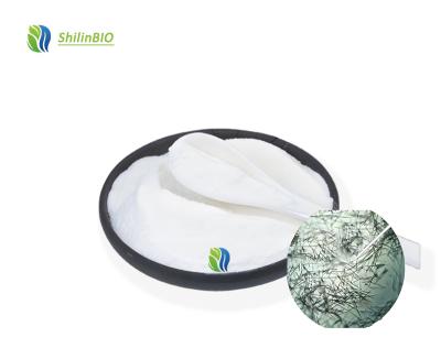 China Cosmetic Grade Freshwater Sponge Microneedle Powder 25µm Bone Needle Extract for Skincare for sale