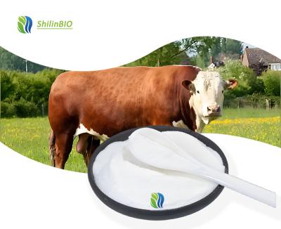 China Cosmetic Grade Elastin Peptides 90% Hydrolyzed Elastin Powder for sale