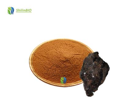 China Food Grade Shilajit Extract Fulvic Acid Powder 50% 80 Mesh for sale