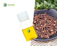 China Wholesale Bulk Clove Leaf Essential Oil 80% Eugenol Natural Aromatherapy Oil 1kg for sale