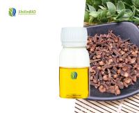 China Wholesale Bulk Clove Leaf Essential Oil 80% Eugenol Natural Aromatherapy Oil 1kg for sale
