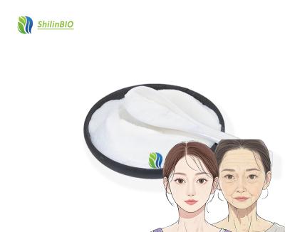 China L Carnosine Powder 99% CAS 305-84-0 Food Grade Anti-Glycation Antioxidant Dipeptide Bulk for sale