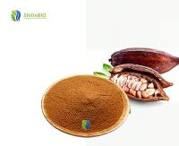 China Bulk Cocoa Theobromine Extract Powder 99% Catechin Food Grade for Supplements for sale