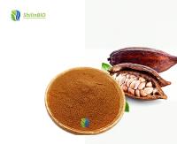 China Bulk Cocoa Theobromine Extract Powder 99% Catechin Food Grade for Supplements for sale