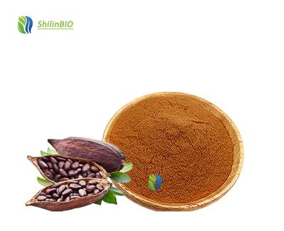 China Natural and Alkalized Cocoa Powder 10-12 Fat Content for Baking and Chocolate for sale