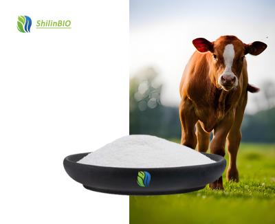 China Food Grade Bovine Bone Marrow Peptide 99% Powder Yak Bone Collagen Peptide 5000 Da for sale