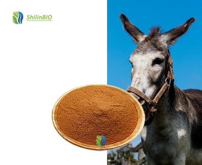 China Bulk Ejiao Extract Food Grade Donkey-hide Gelatin Powder 99% Assay 80 Mesh for sale