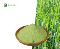 China Bulk Wheat Grass Powder 80 Mesh Food Grade Superfood Nutritional Supplement for Smoothies and Juices for sale