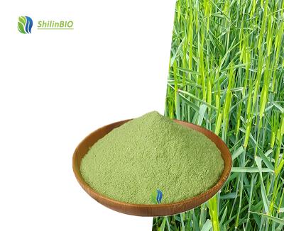 China Bulk Wheat Grass Powder 80 Mesh Food Grade Superfood Nutritional Supplement for Smoothies and Juices for sale
