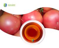 China Natural Tomato Flavor Liquid Water Soluble 0.1-0.5% Usage for Baking Beverages Ice Cream for sale