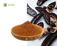 China Bulk Food Grade Cassia Nomame Extract Powder 30% Flavanols for Cardiovascular Health Supplements for sale