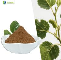 China 1-Deoxynojirimycin 1% 2% 10% Mulberry Leaf Extract Powder DNJ Herbal Supplement for sale