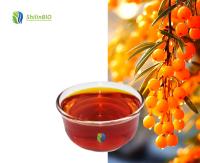 China Plant Natural Wholesale Pure Sea Buckthorn Fruit Oil Sea Buckthorn Oil Sea Buckthorn Berry Oil for sale