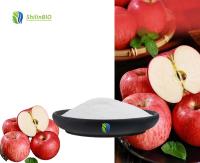 China Apple Polyphenol Extract Powder 80% Polyphenol Natural Antioxidant Food Grade for sale