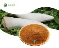 China Food Grade King Oyster Mushroom Extract Powder 30% Beta Glucan 80 Mesh for sale