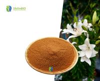 China Food Grade Lily Extract Powder 50% Polysaccharides Water Soluble Lily Bulb Extract for Immunity and Anti Aging for sale