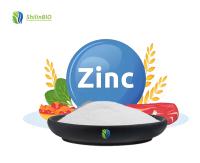China Food Grade 99% Zinc Gluconate Powder Organic Zinc Supplement 13.2% Zinc Content for sale