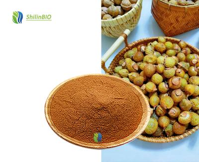 China Bulk Sapindus Mukorossi Fruit Extract Powder 80% Saponin Natural Surfactant for Detergent Cosmetic for sale