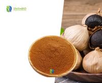 China Black Garlic Powder 10:1 Extract 1% Polyphenols Food Grade Antioxidant Supplement for sale