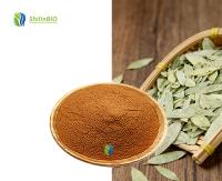China Senna Leaf Extract Sennosides Powder 98% Sennoside A+B for Constipation Relief for sale
