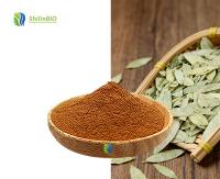 China Senna Leaf Extract Sennosides Powder 98% Sennoside A+B for Constipation Relief for sale