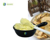 China High Quality Premium Palmatine Extract Powder 98% Purity Natural Plant-Based Ingredient for Wellness Formulations for sale