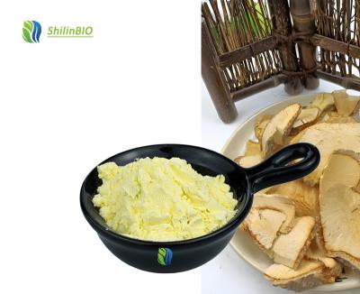 China High Quality Premium Palmatine Extract Powder 98% Purity Natural Plant-Based Ingredient for Wellness Formulations for sale