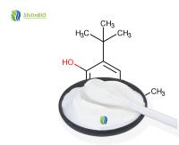 China Butylated Hydroxyanisole BHA Food Grade 99% CAS 25013-16-5 Antioxidant for Oily Foods for sale