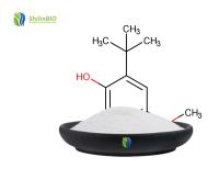 China Butylated Hydroxyanisole BHA Food Grade 99% CAS 25013-16-5 Antioxidant for Oily Foods for sale